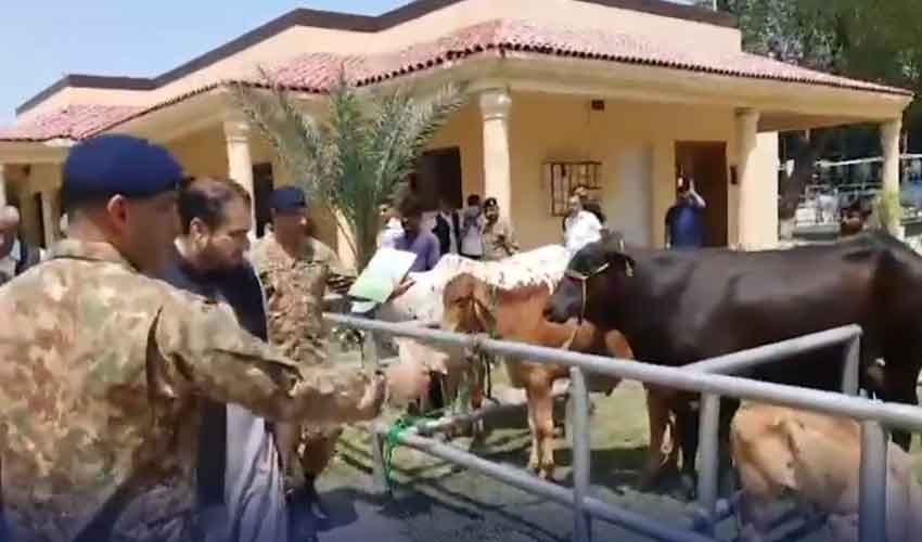 Pakistan Animal Identification, Traceability System inaugurated in Renala Khurd