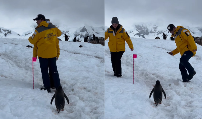 SAMAA TV - Latest Breaking News, Pakistan, World, Video news Home - SAMAA